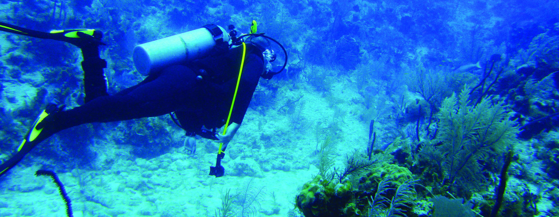 About Study Abroad - Eastern