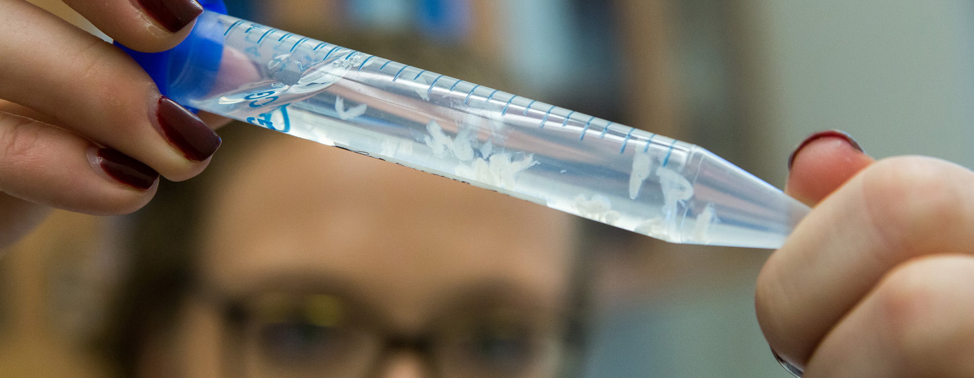 Hands-on Learning - Eastern